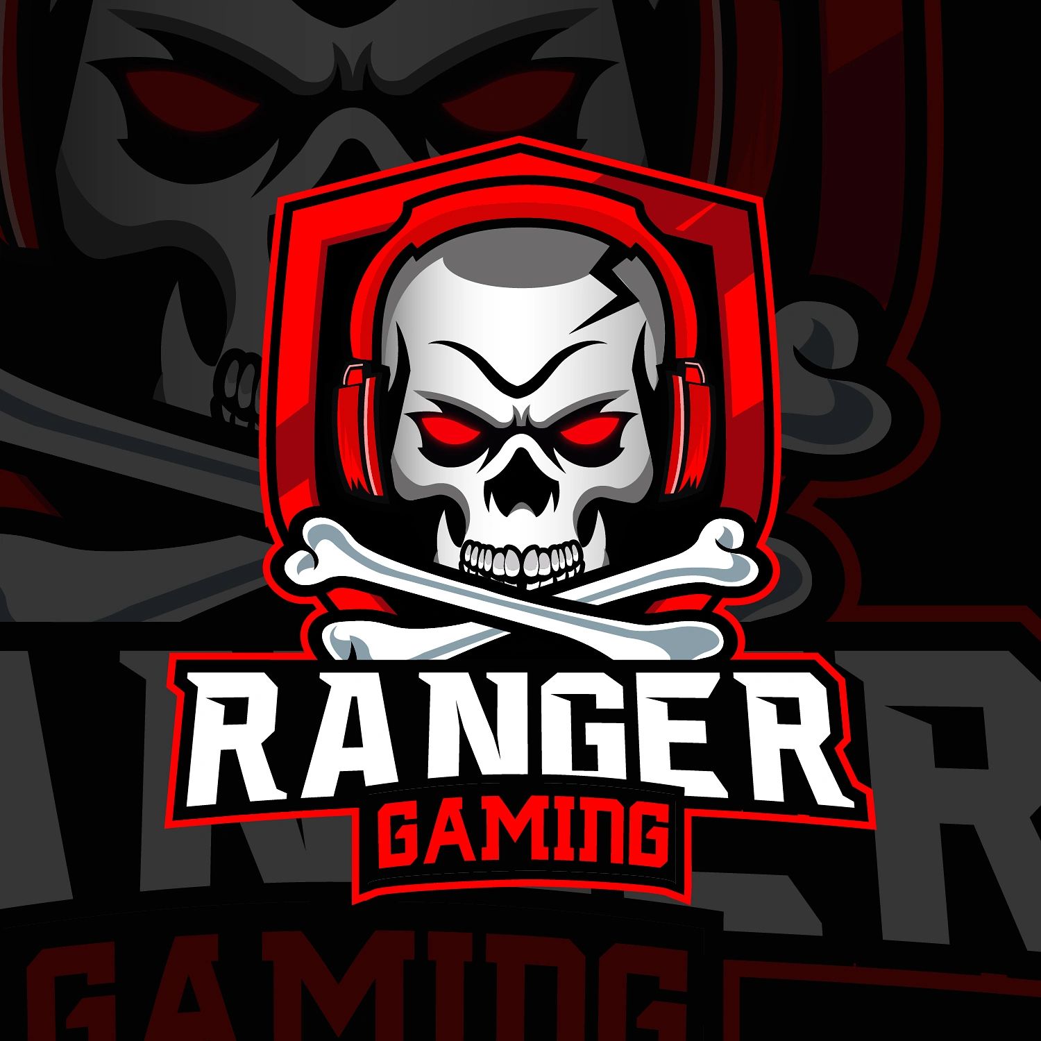 Ranger_Gamingg