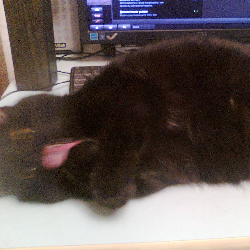 Panel-Room - dub_rovski_