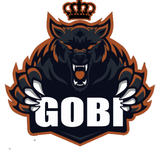 GOBI_ON